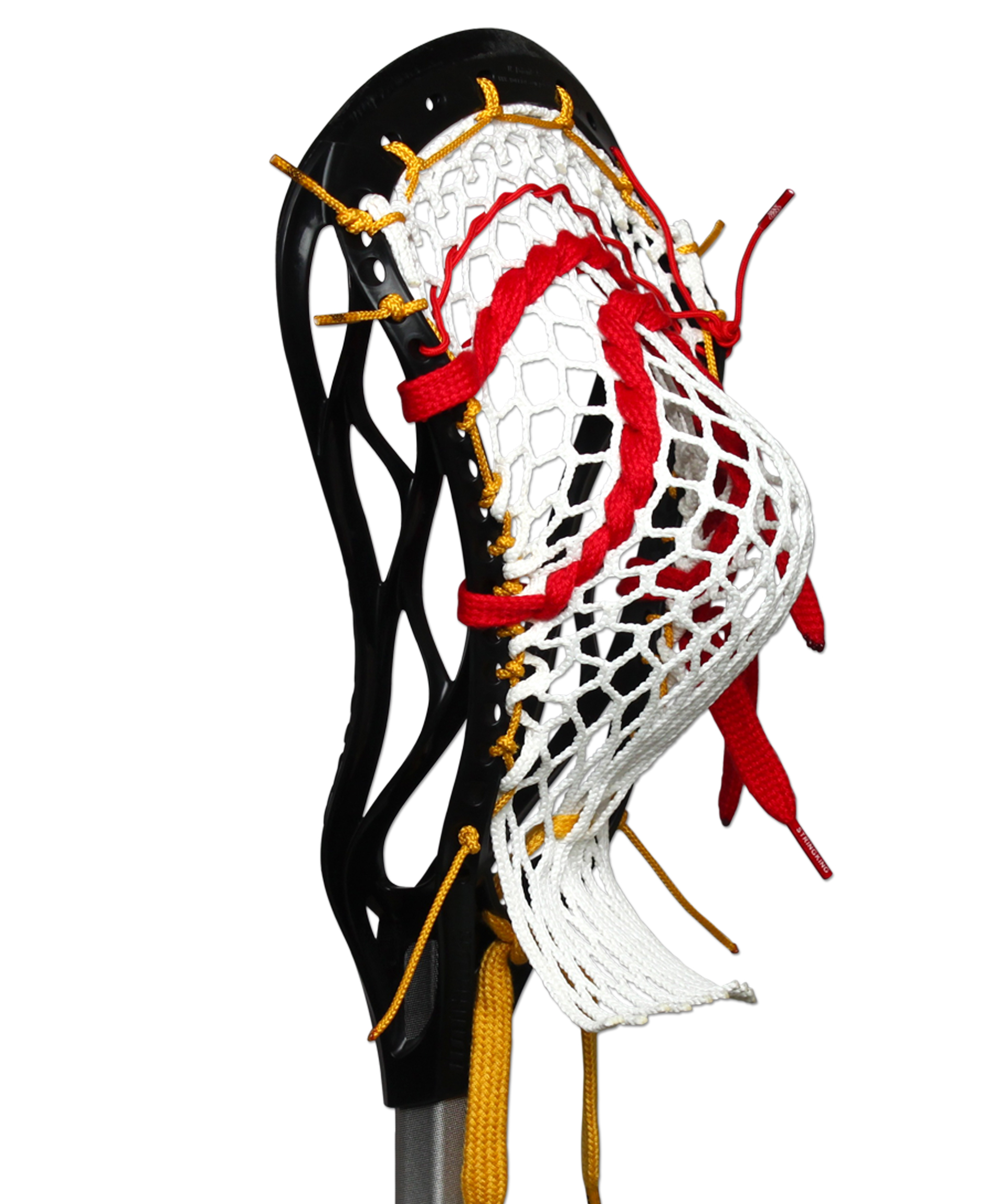 Warrior Revo 3 X M · StringKing